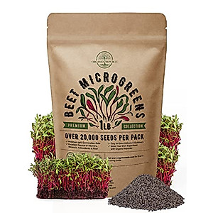 Beet Sprouting & Microgreens Seeds - Non-GMO, Heirloom Sprout Seeds Kit in Bulk 1lb Resealable Bag for Planting & Growing Microgreens in Soil, Coconut Coir, Garden, Aerogarden & Hydroponic System.