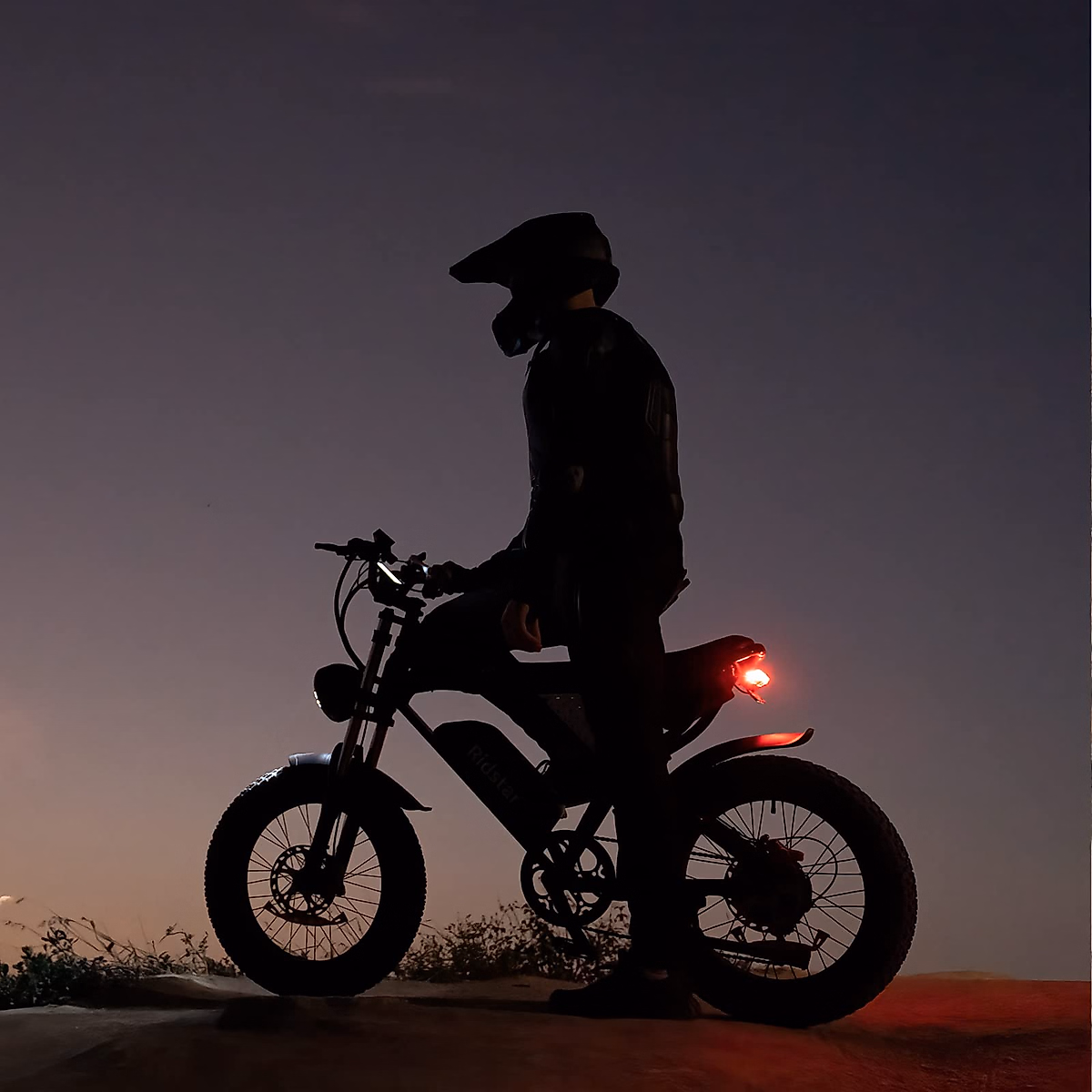 Ridstar 1000W 30MPH Fat Tire Electric Motorcycle with Removable 48V20Ah Battery and Full Suspension