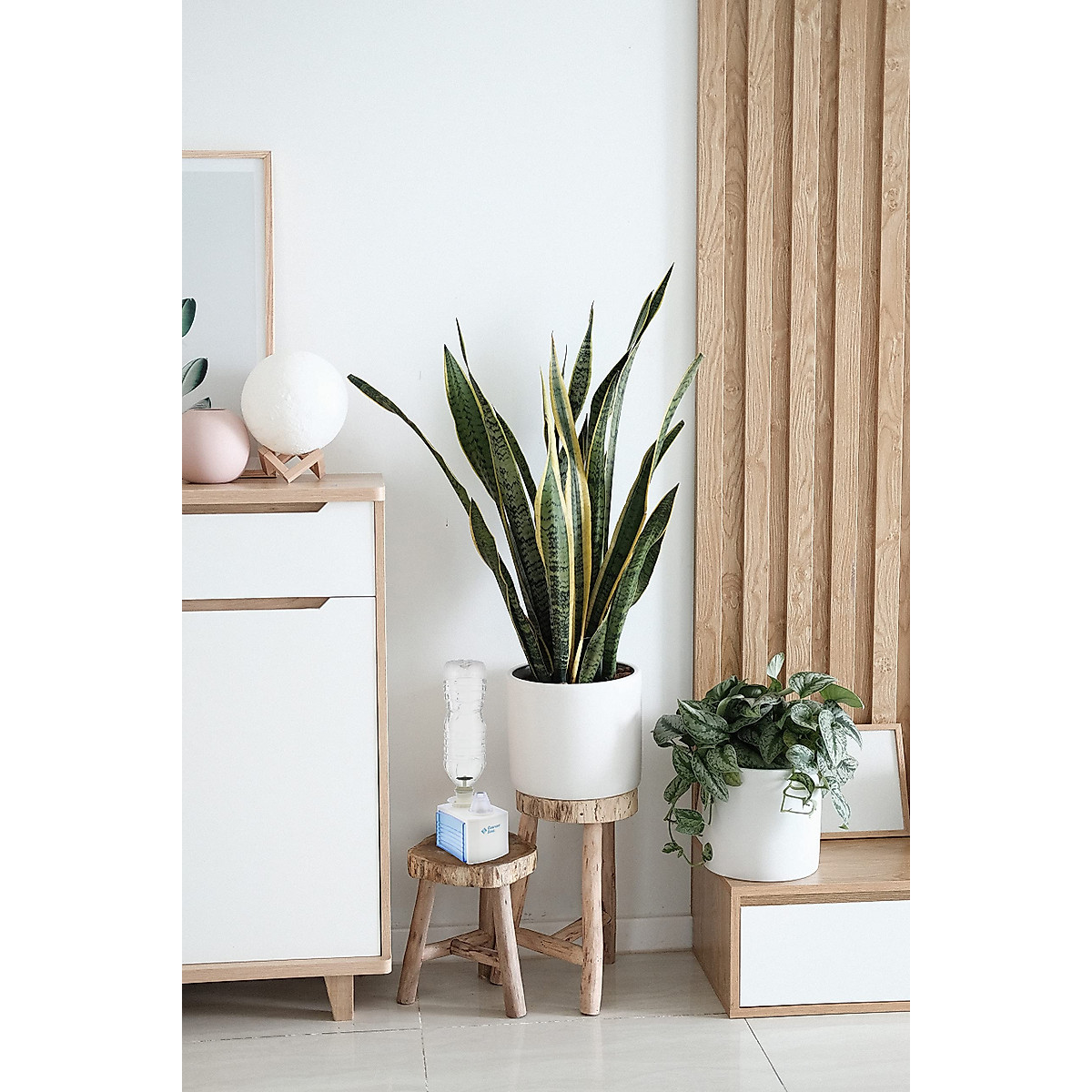 Comfort Zone Ultrasonic Turn Bottle into into Personal Portable Humidifier - 6 Hour Operation - Whisper Quiet, Travel, white (CZHD20)