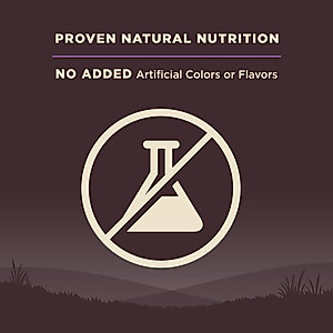 Wellness CORE Grain-Free Senior Dry Dog Food, Made in USA with Natural Ingredients, No Meat by-Product, Fillers, Artificial Flavors, or Preservatives (12-Pound Bag, Turkey)