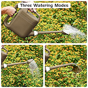 1.5 Gallon Watering Can for Outdoor & Indoor Plants, Large Garden Watering Pot with Lightweight and 5.5L Capacity, Plastic Watering Can with Long Spout and Metal Removable Sprinkler Head, Grey