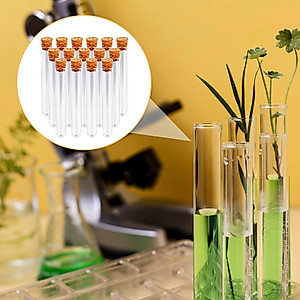 Plastic Test Tubes with Lids, 15x100mm (15ml) Clear Vials with Seal Cap Container Transparent Test Tubes with Cork Stoppers for Jewelry Seed Beads Powder Spice Liquid Storage (15 PCS)