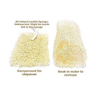Introduction Price! 2ct Natural Loofah Sponge,Loofah Exfoliating Body Scrubber&Loofa Body Sponge,Shower Sponges for Men/Women,Skin Care,Body Scrub Exfoliator,Kitchen,Cleansing Exfoliating Sponge