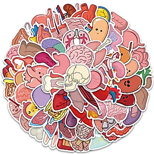Cute Cartoon Organs Stickers, 65PCS Medical Body Organ Anatomy Stickers Pack for Kids, Teens, Waterproof Vinyl Stickers Bulk for Water Bottle, Laptop