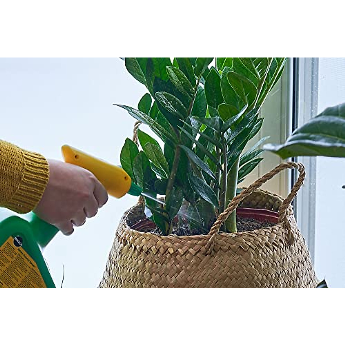 Miracle-Gro 190518 Battery Powered 48 oz. Handheld Sprayer, Green