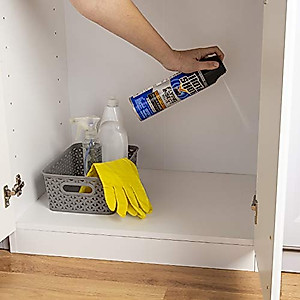 Hot Shot Flying Insect Killer 15 Ounces, Aerosol, Clean Fresh Scent (Pack of 6)