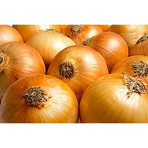 Yellow Sweet Spanish Onion Seeds for Planting, 750+ Heirloom Seeds Per Packet, (Isla's Garden Seeds), Non GMO Seeds, Botanical Name: Allium cepa, Great Home Garden Gift