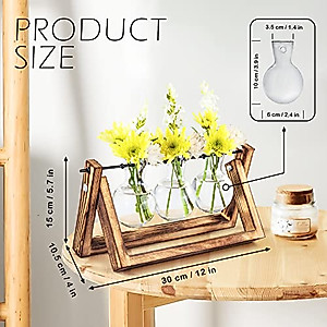 Waytoeast Plant Propagation Stations, Desktop Air Plant Terrarium with Wooden Stand Propagation Planters Glass for Hydroponics Plants Office Home Gardening Gifts for Women - 3 Bulb Vase