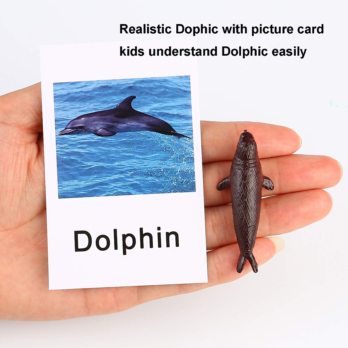12 pcs Ocean Sea Animal Figures with 12pcs Matching Cards - OOTSR Ocean Creatures with Flash Cards for Education, Insect Themed Party, Playtime and Treasure Hunt