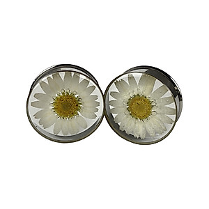 Mystic Metals Body Jewelry Embedded Real Daisy Flower Plugs - Sold As a Pair (1-1/4" (32mm))