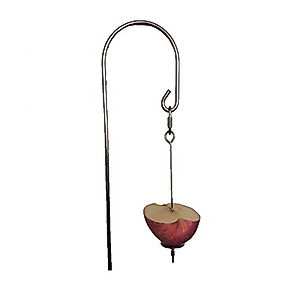 HONBAY 2pcs Parrot Bird Rabbit Hutch Cage Fruit Vegetable Holder Skewer Foraging Toy Animal Treating Tool (S)