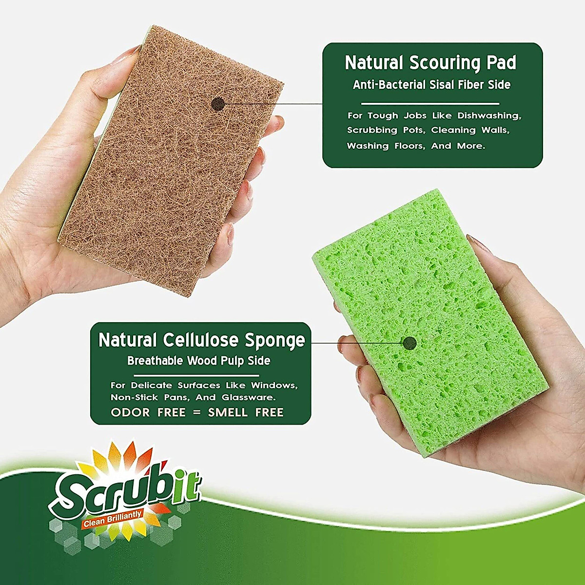 SCRUBIT Natural Sponges - 10 Pack Biodegradable Compostable Cellulose and Coconut Natural Sponges for Dishes, Eco Friendly Non Toxic Kitchen Sponge
