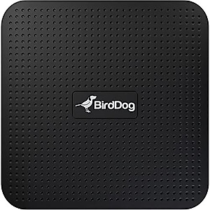 BIRDDOG PLAY 4K NDI PLAYER