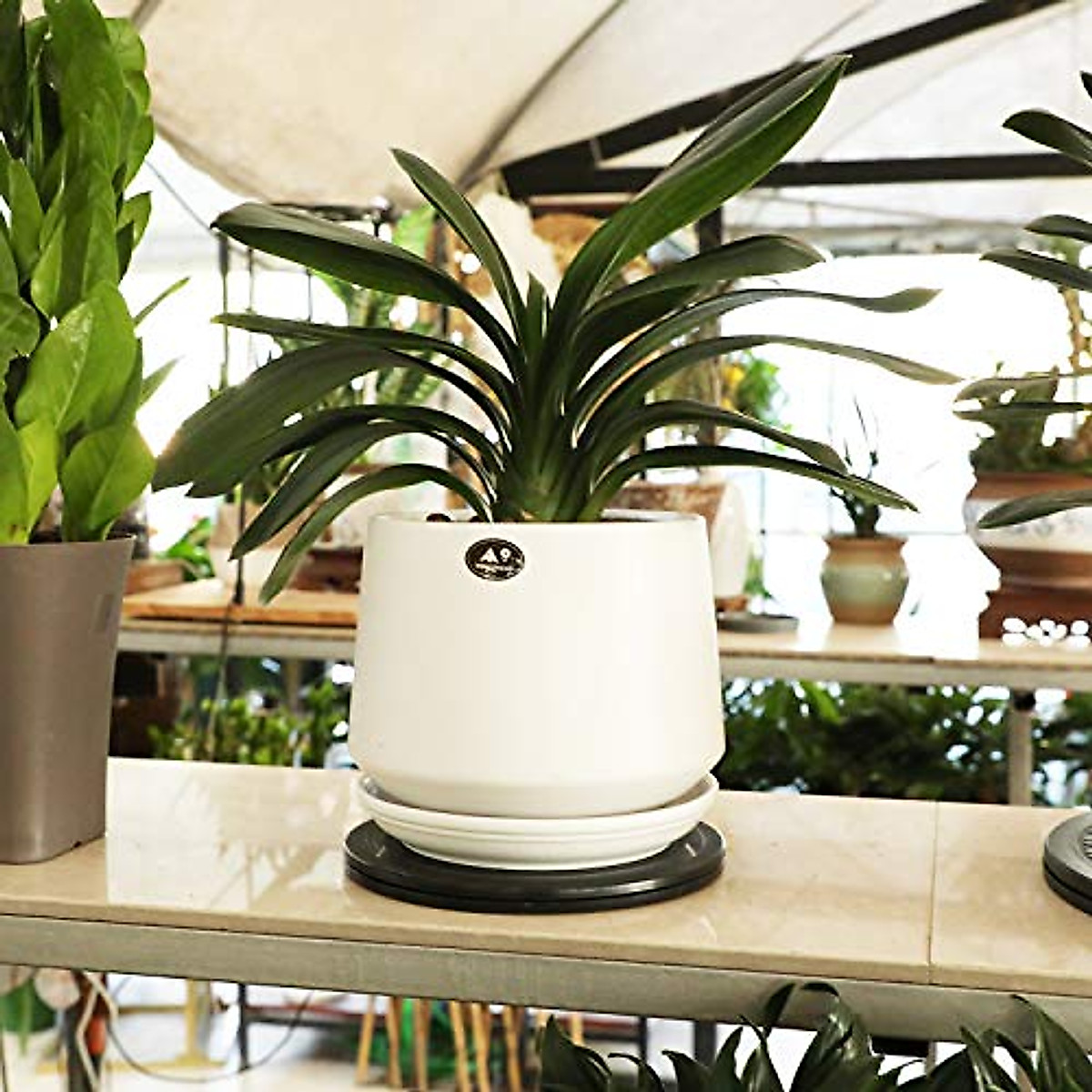 8" Bonsai Turntable Heavy Duty Rotating Garden Swivel Stand for Easy Trimming and Displaying Potted Plant