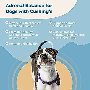 Adrenal Balance for Dogs with Cushing’s | Naturally Relieves Symptoms of Cushing's Disease in Dogs | Licorice Free Herbal Formula for Dogs with Cushing’s Disease | by Prana Pets