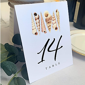 Seashell Pattern Wedding Table Numbers (Select Quantity), White, 1-10, Double Sided, Tent or Use in a Stand, Great for Parties & Restaurants - Made in the USA