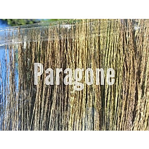 All Natural Vietnamese Straw Brooms (37 Inch) - 3 Brooms