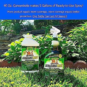 Nature's MACE Deer & Rabbit Repellent 40oz Spray/Covers 1,400 Sq. Ft. / Repel Deer from Your Home & Garden/Safe to use Around Children, Plants & Produce/Protect Your Garden Instantly