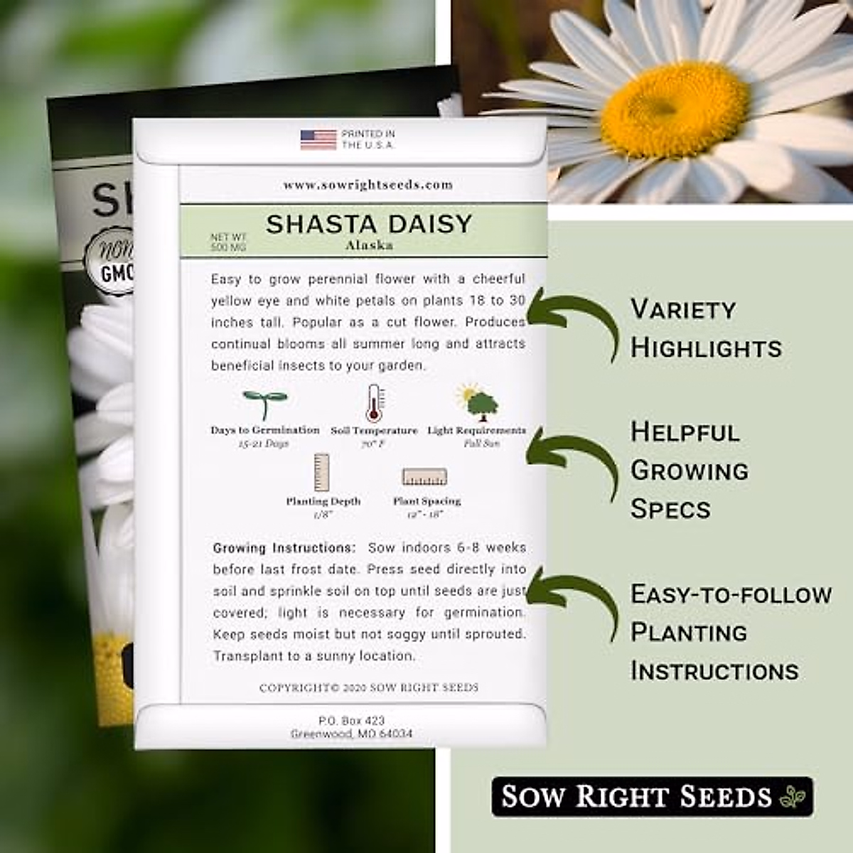 Sow Right Seeds - Shasta Daisy Flower Seeds for Planting - Non-GMO Heirloom Packet with Instructions - Attract Butterflies and Excellent for Cutting - White Blossom with Yellow Centers (1)