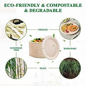 Vplus 100% Compostable Oval Paper Plates 10 inch 125 Pack Super Strong Disposable Paper Plates Natural Biodegradable Eco-Friendly Sugarcane Plates for BBQ, Party, Gathering, and Picnic