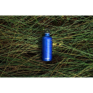 SIGG - Aluminum Water Bottle - Traveller - Made in Switzerland - Carbonated Drinks - Recycled - BPA-Free - 20Oz / 34Oz