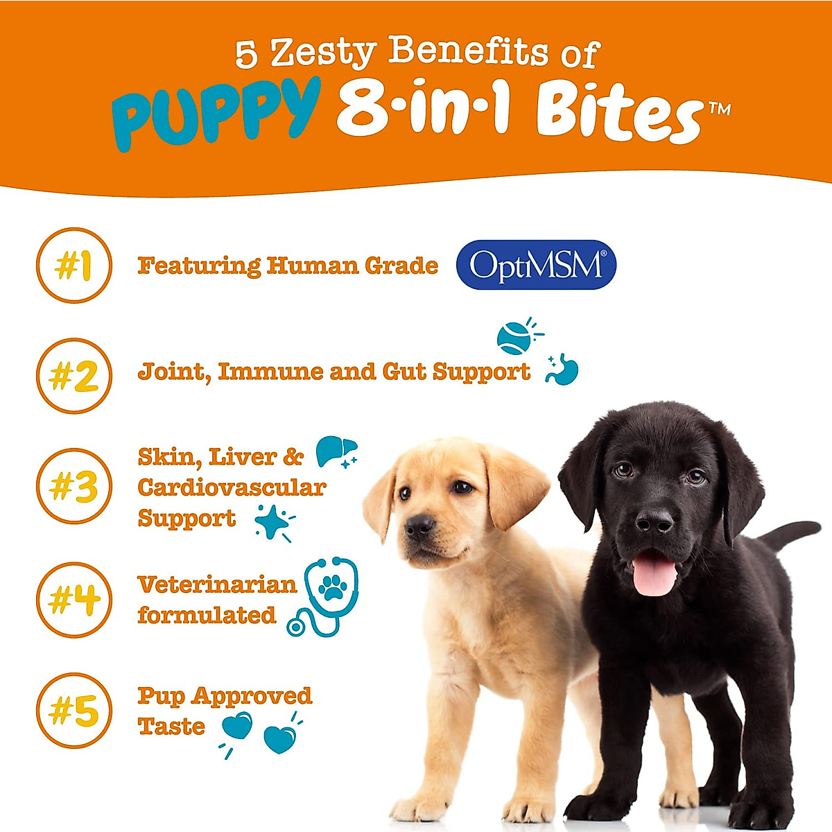 Zesty Paws Puppy 8-in-1 Multivitamin Soft Chews + Puppy Allergy & Immune Soft Chews