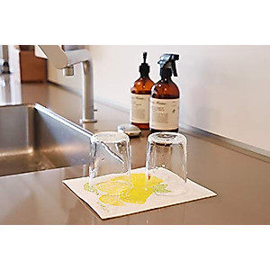 More Joy - Eco-Friendly Swedish Dishcloths, Pack of 2 Carrots