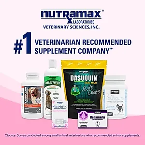 Nutramax Proviable Digestive Health Supplement Multi-Strain Probiotics and Prebiotics for Cats and Dogs - with 7 Strains of Bacteria, 80 Capsules