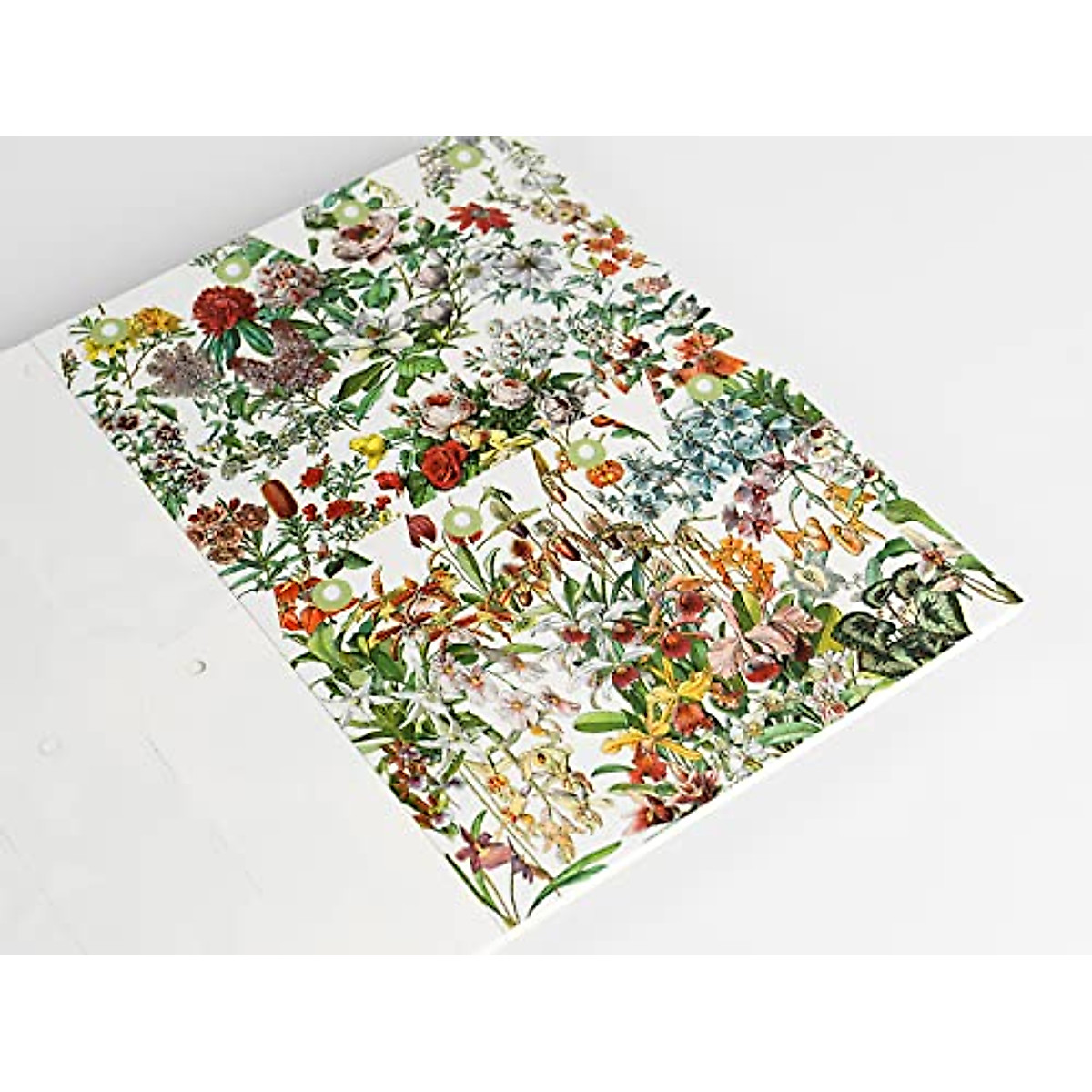 Flowers: Paper Craft Book with Cards, Envelopes, Stickers, Tags & Colouring Sheets (Multilingual Edition) (English, Spanish, French and German Edition)