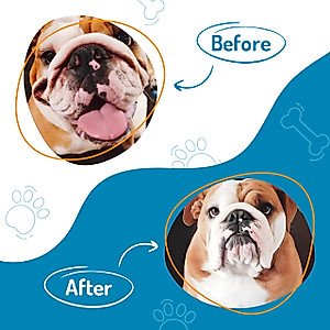 Bulldog Wrinkle Wipes, Cleaning & Soothing + Dog Ear Finger Wipes, Remove Debris, Wax and Odor