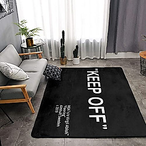 YIKUDU Keep Off Large Rugs Floor Mat Modern Carpet for Home Decoration Area Rug,Cozy Art Decoration Polyester Carpet 60 x 40 inch