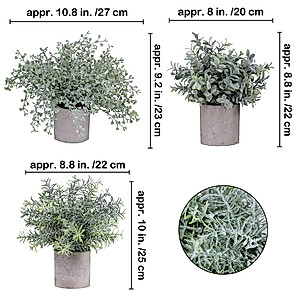 Winlyn Mini Potted Plants Artificial Flocked Eucalyptus Boxwood Rosemary Greenery in Pots Faux Potted Herbs Small Houseplants 8.8"-10" Tall for Indoor Greenery Tabletop Décor Centerpiece 3 Pack
