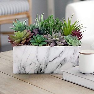 GreenBoxx Ceramic-Marble Artificial Succulent Planter Set - 11 Piece Flora Faux Potted Succulent Arrangement for Modern Home, Kitchen, Table, Wall Hanging, and Wedding Decor