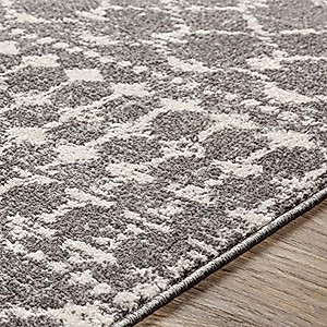 Artistic Weavers Elsie Area Rug, 7'10" x 10'3", Medium Gray, 7 ft (10 in) x 10 ft (3