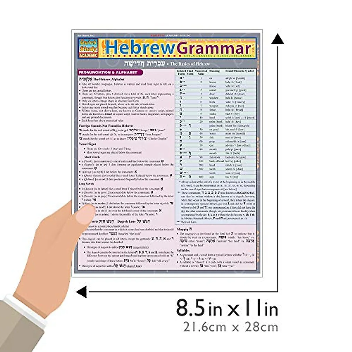 Hebrew Grammar QuickStudy Laminated Reference Guide (QuickStudy Academic)