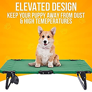Outrav Elevated Dog Cot with Steel Frame - Foldable Raised Play and Rest Bed for Dogs and Cats - Heavy Duty Strong Material - Pet Cot with Bonus Storage Bag (Small 30” x 20” x 7”, Green)