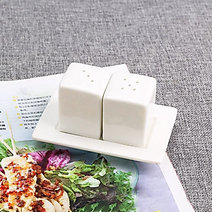 Gaolinci White Porcelain Salt & Pepper Shakers, Salt Shaker Set with Tray