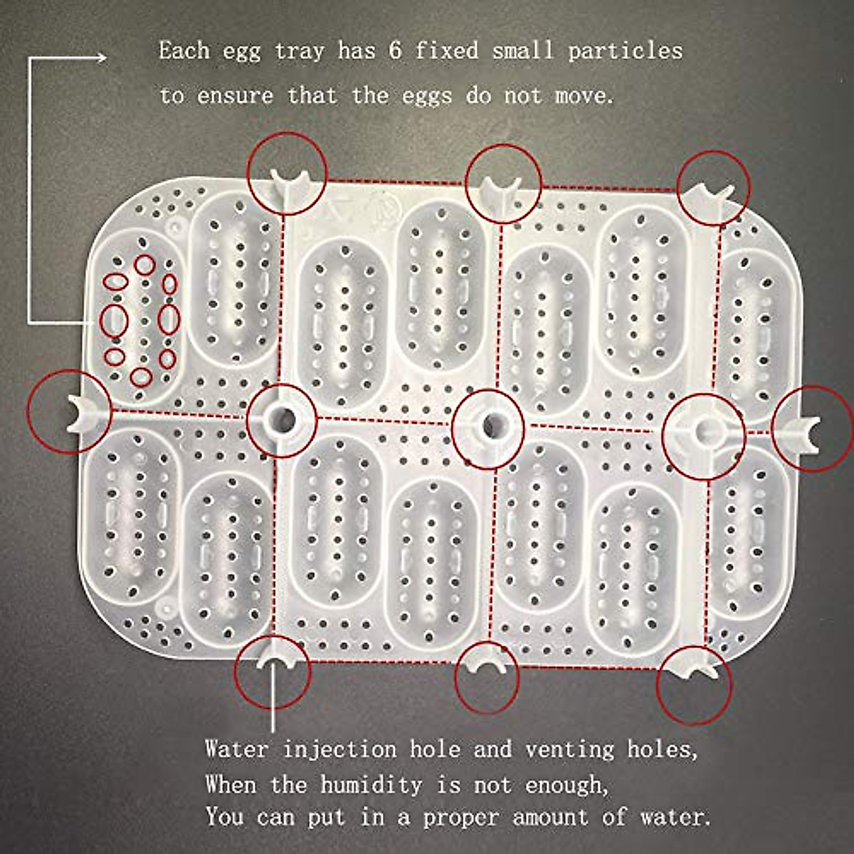 OMEM Reptile Breeding Box Reptile Lizard Incubation Box, Hatchery Box, Suitable for Hatching Snake, Lizards, Lions Mane, Reptiles (Random Color)