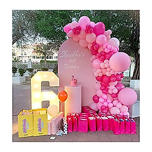 Pink Balloon Garland Arch Kit, 132PCS Hot Light Rose Pink Balloons with Heart Shape for Barbie Princess Theme Birthday Girl's Party Decorations Supplies Bridal Shower Baby shower Engagement Bachelorette Wedding Decor Backdrop(Pink)