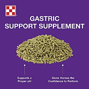 Purina® Outlast® Gastric Support Supplement, 40 lb