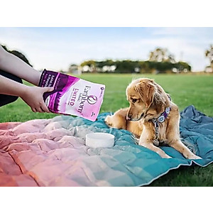 Earthborn Holistic Venture Rabbit Meal & Pumpkin Limited Ingredient Diet Grain-Free Dry Food for Dogs & Puppies (25 lb. Bag)