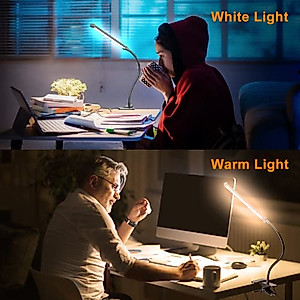 LEPOWER Led Clip on Light/Reading Light, 5W Book Light for Reading in Bed with Gooseneck, Color Temperature Changeable Clip Light, Perfect for as Reading Light and Piano Light (Metal)