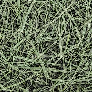 PremiYum Standlee Western Orchard Grass Hay Small Animal Food for Rabbits, Guinea Pigs, and Chinchillas, 9 lb. Box