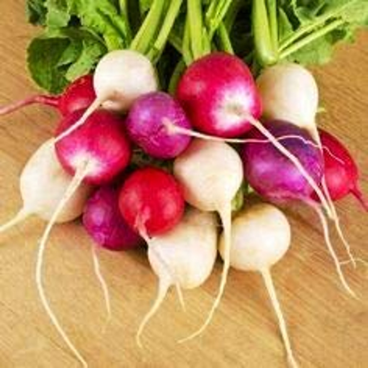 Colorful Radish Seed Mix Easy to Grow Vegetable Garden Seeds for Planting 100 Seeds