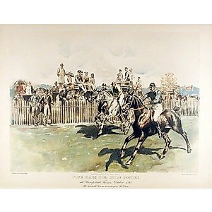 Pony Race for Polo Ponies