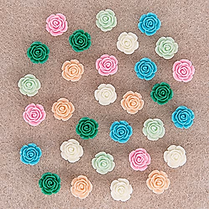 Push Pins for Cork Board - Cuttte 30pcs Decorative Push Pins with Case, Cute Thumb Tacks and Push Pins for Bulletin Board, 6 Colors Flower Pushpins, Office Decor for Women, Cubicle Desk Accessories