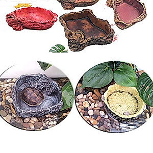 Bitray Reptile Water Dish Food Bowl Rock Worm Feeder for Leopard Gecko Lizard Spider Scorpion Chameleon (2 Pack,Green)