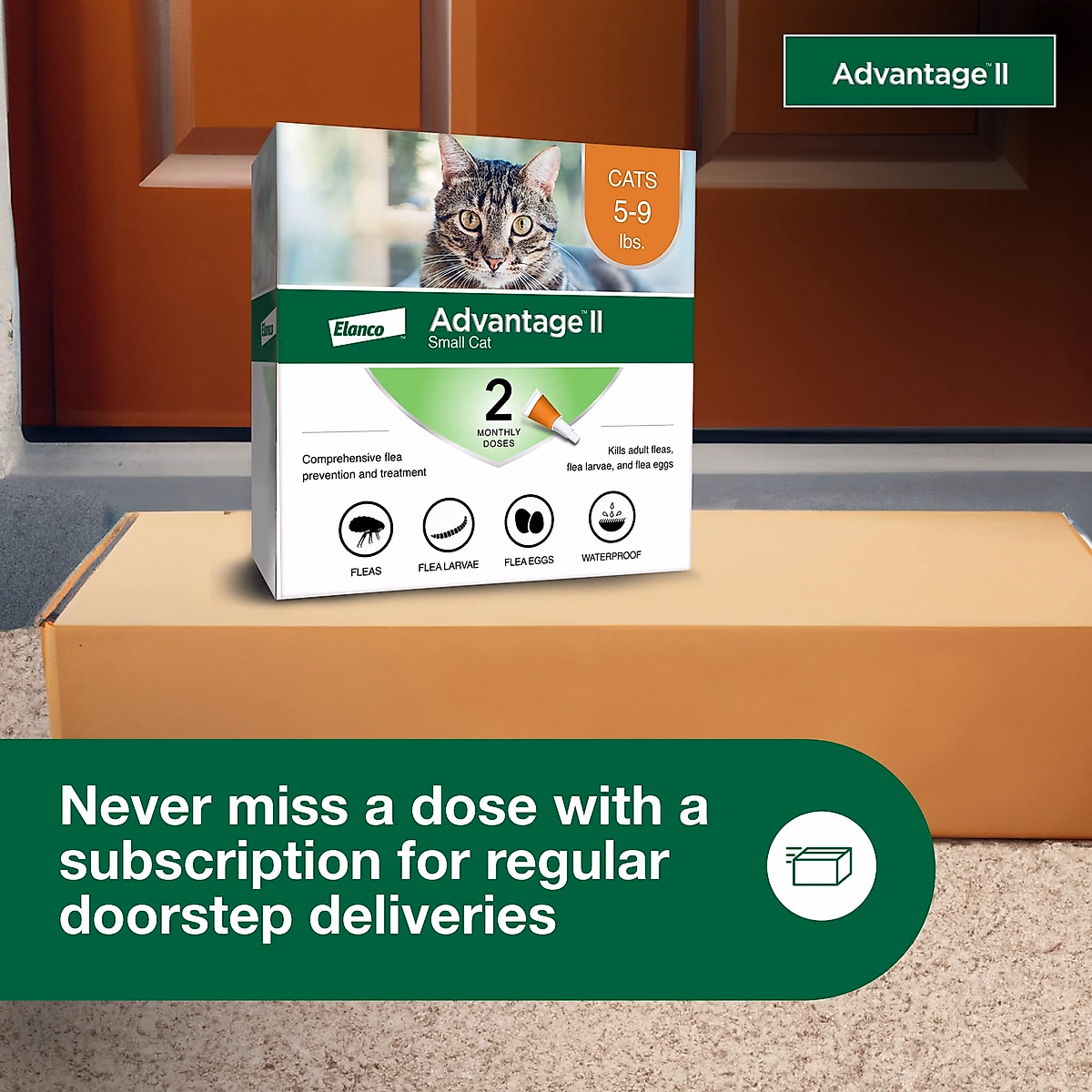 Advantage II Small Cat Vet-Recommended Flea Treatment & Prevention | Cats 5-9 lbs. | 2-Month Supply