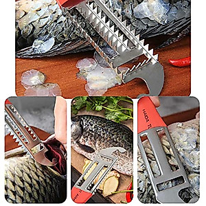 Fish Scaler Remover, Fish Scraper Fast Cleaning Fish Skin, Fish Scale Remover with Stainless Steel Sawtooth Easily Remove Fish Scales-Cleaning Brush Kitchen Descaler Tool