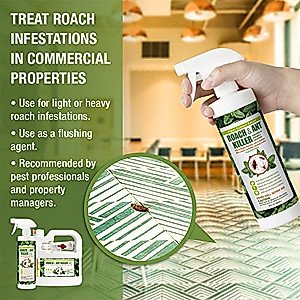 EcoVenger Roach & Ant Killer, Kills on Contact, Extended 4-Week Deterrence, Kills Ants & Other Indoor&Outdoor Crawling Insects, Natural & Non-Toxic, Pleasant Botanical Scent, Safe for Children & Pets
